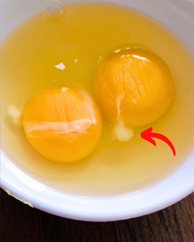 What’s That White Stringy Thing in Your Egg, and Should You Remove It ...