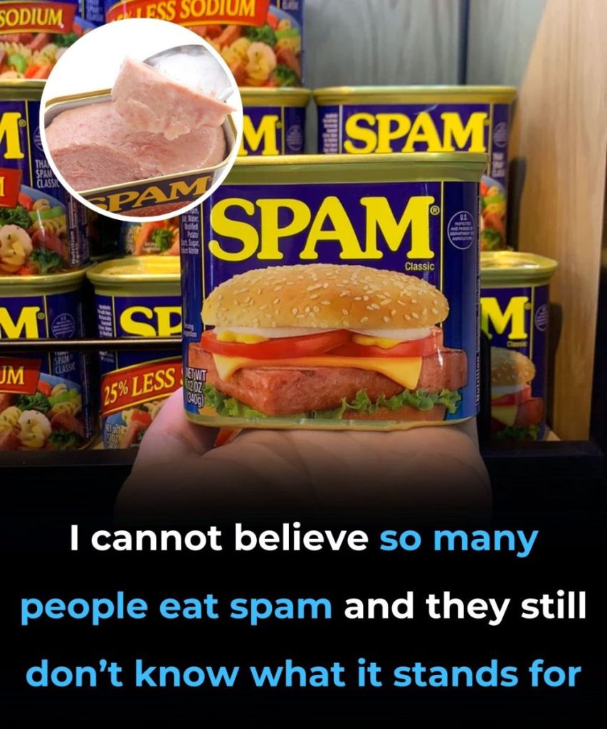 How Spam Is Used in Different Dishes Around the World – Best Recipes
