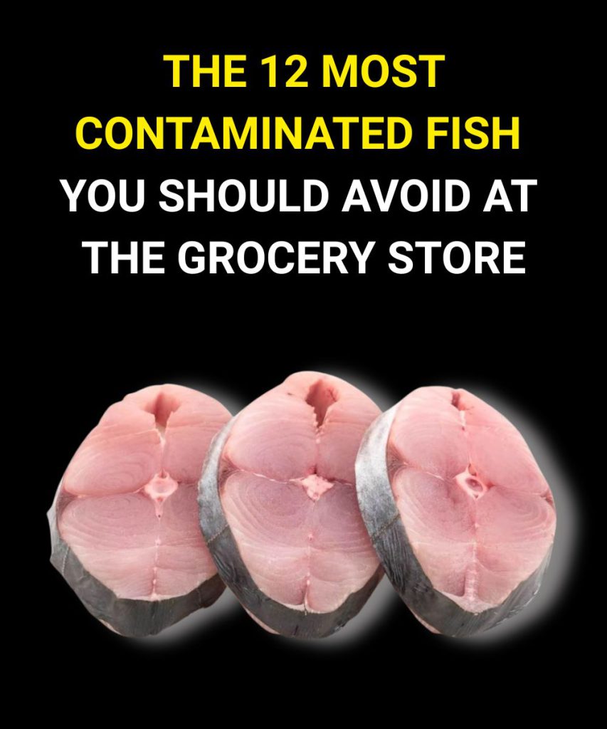 The 12 Most Contaminated Fish You Should Avoid at the Grocery Store ...