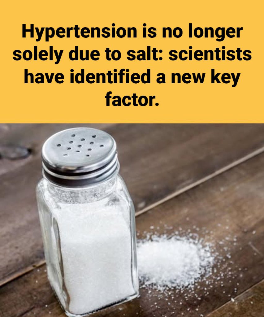 Health Hypertension is no longer solely due to salt: scientists have ...