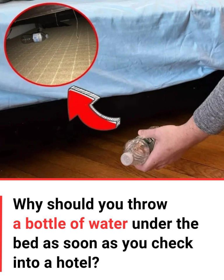 Why should you throw a bottle of water under the bed as soon as you ...