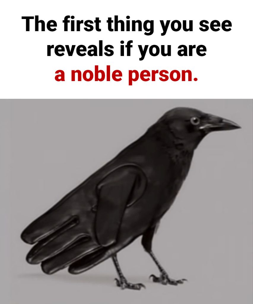 The first thing you see reveals if you are a noble person. – Best Recipes