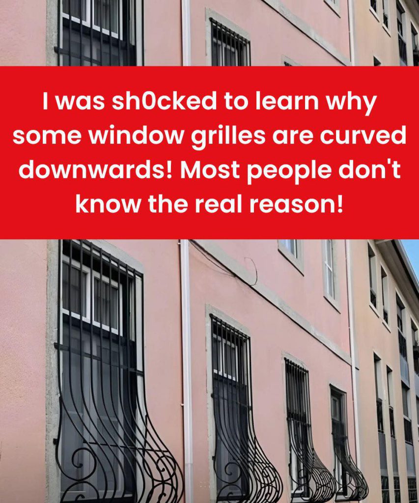 Curved Window Grilles vs. Straight Grilles: Which One Is Better for ...