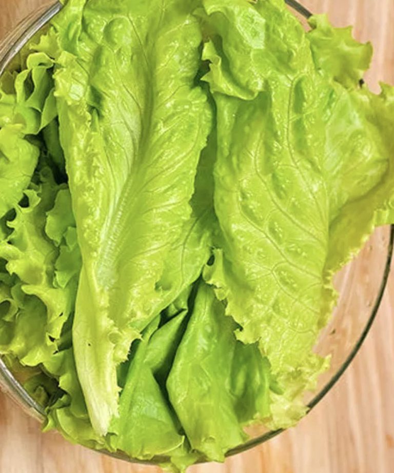 Doctors reveal that eating lettuce in winter causes … – Best Recipes